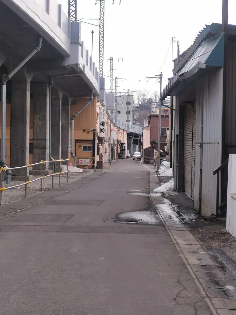 Netflixドラマ『First Love 初恋』小樽のロケ地はここ！ | MouLa HOKKAIDO